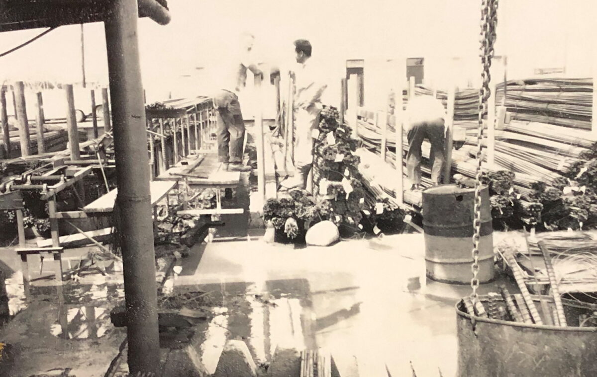 Dalco Industries, Inc. – Denver's Premier Reinforcing Steel and ...